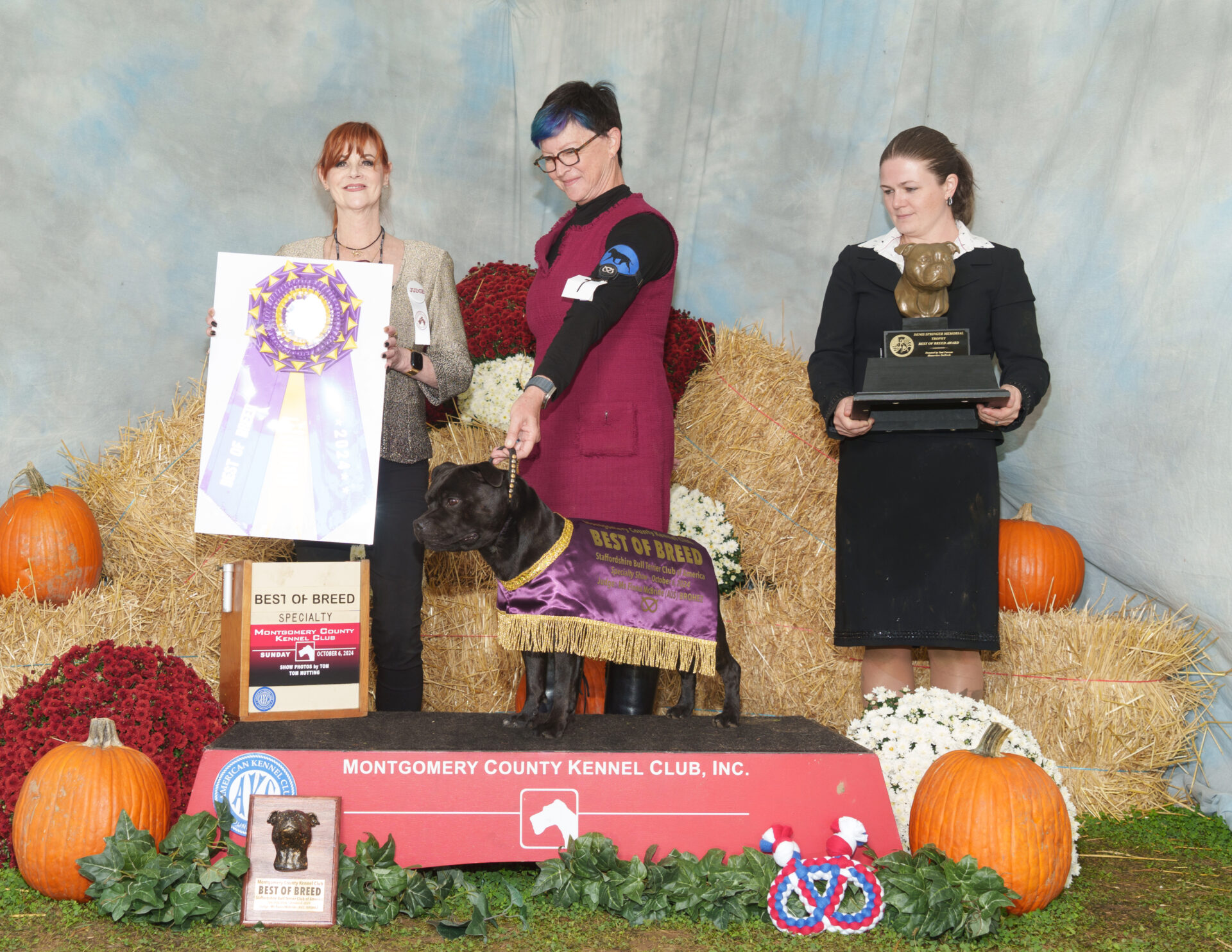 Montgomery Kennel Club 2024 » Wavemaker Staffords