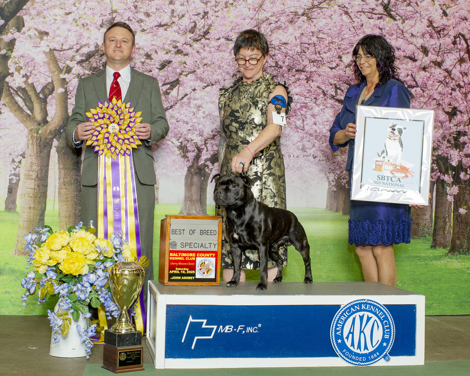 SBTCA 2025 National Specialty » Wavemaker Staffords