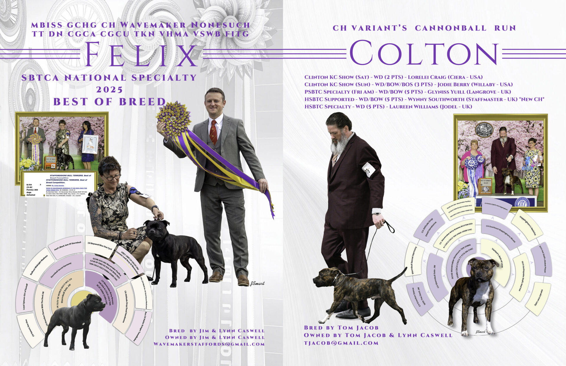 April and May 2025 were exciting! » Wavemaker Staffords